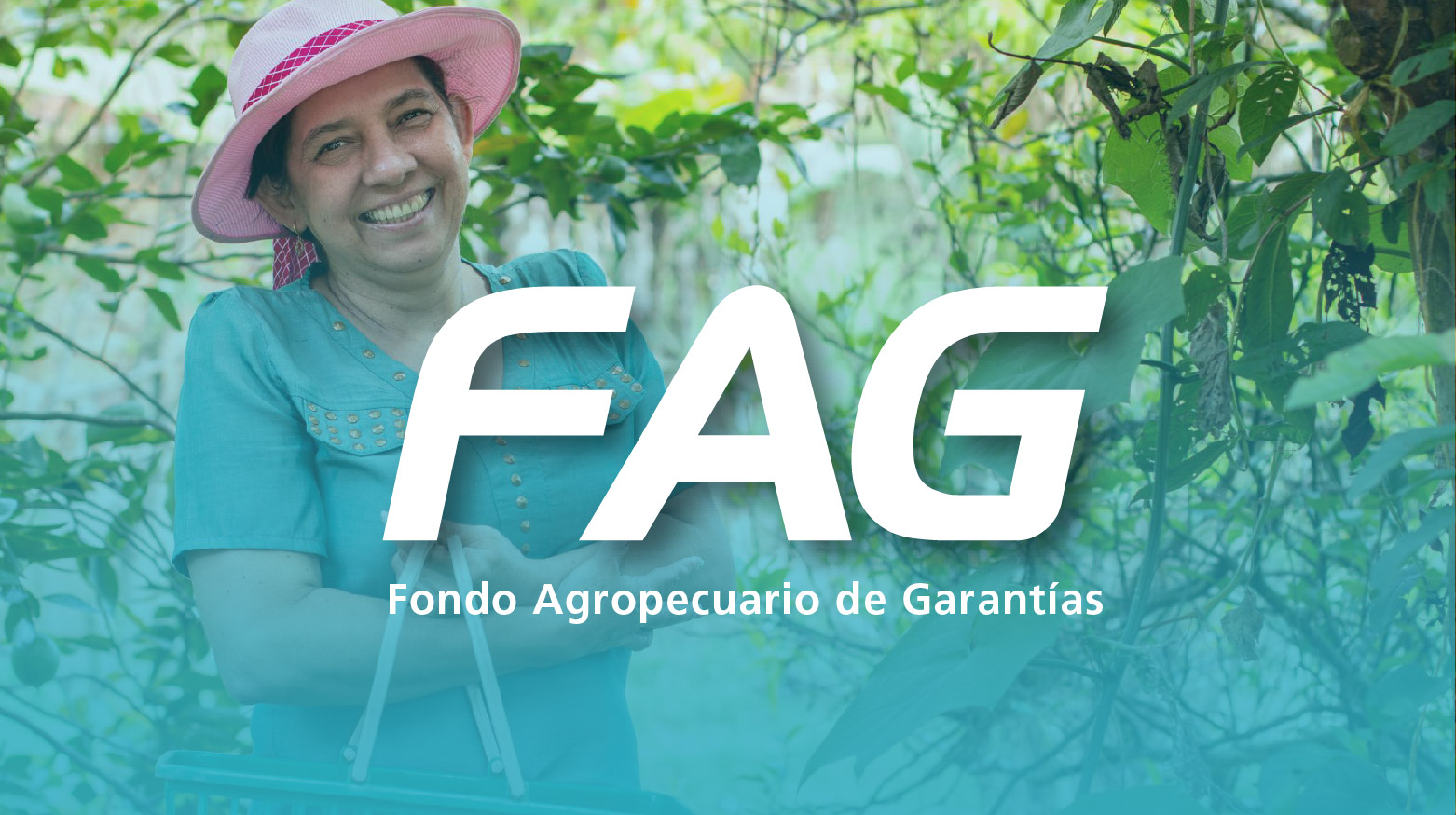 Fondo para el financiamiento del sector agropecuario | Finagro